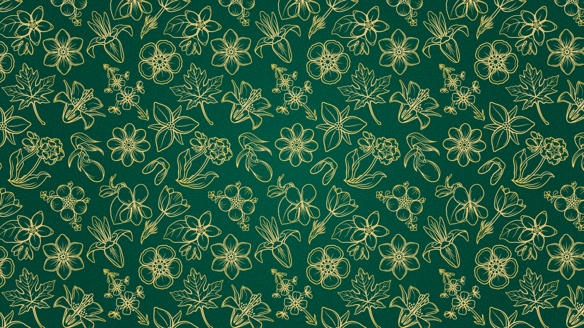 The Coronation - Lieutenant Governor of Ontario